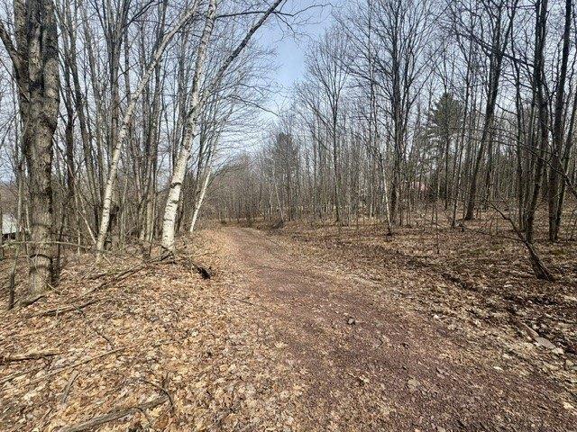 land Oneonta NY ES104904941