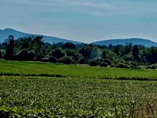 land Orchard NY ES102245490