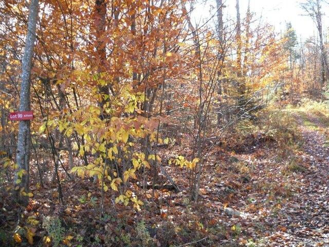 land Orford NH ES104116902