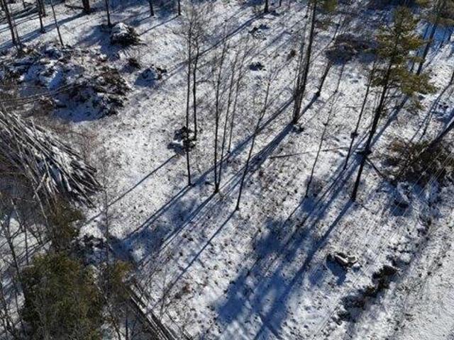 land Orono ME DLS101660752