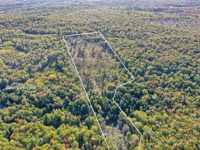 land Orland ME DLS101602797