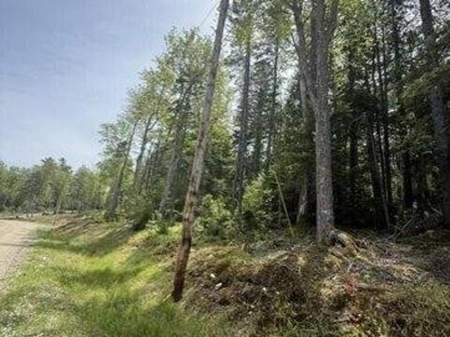 land Orland ME DS103162718
