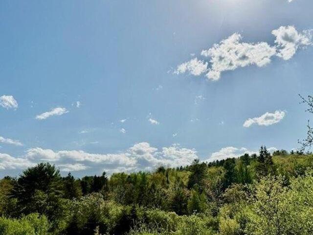 land Orland ME DS104008250