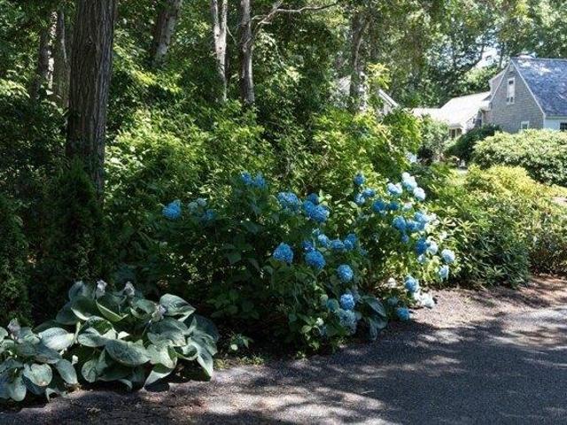 land Orleans MA DS102026815