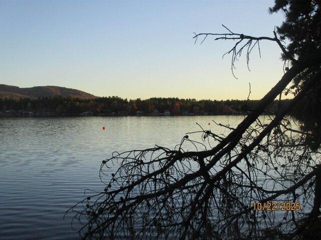 land Ossipee NH DLS102445974