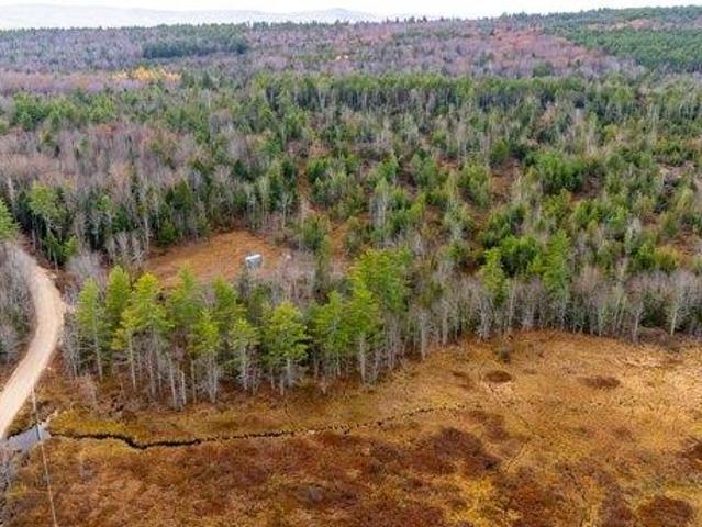land Ossipee NH DLS103016242
