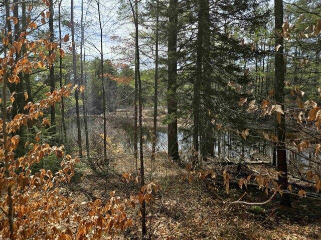 land Ossipee NH DS102064116