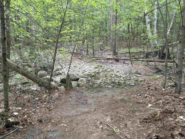 land Ossipee NH DS102158584