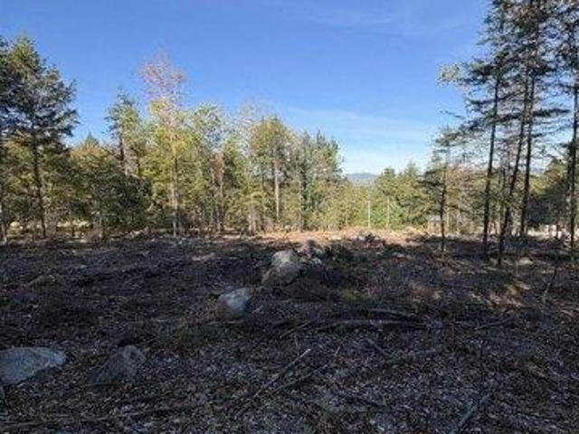 land Ossipee NH DS103620117