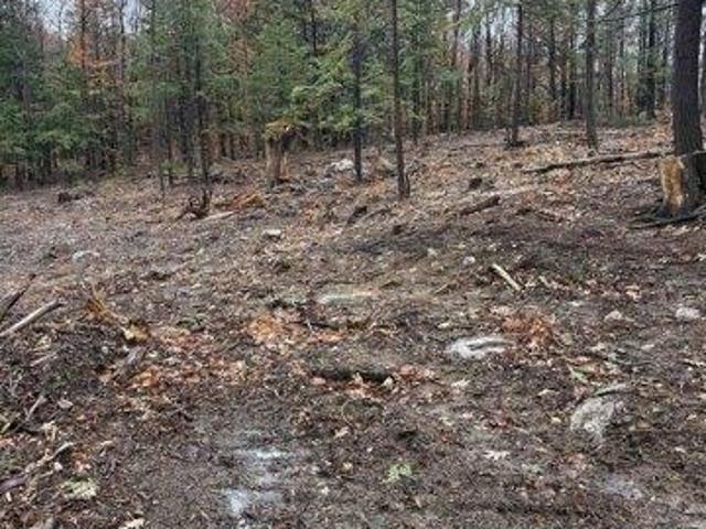 land Ossipee NH DS103665444