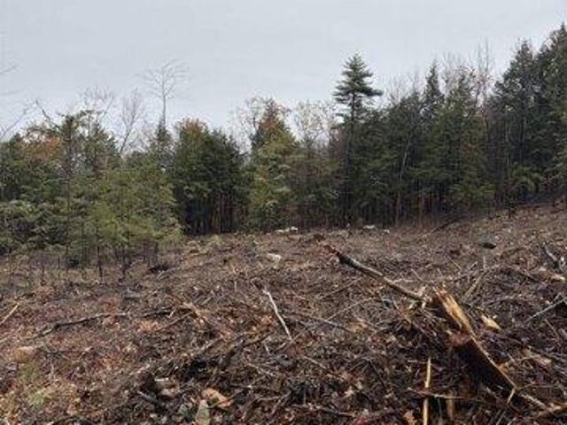 land Ossipee NH DS103850492