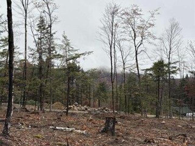 land Ossipee NH DS103968500