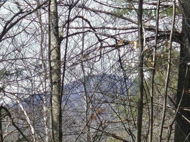 land Ossipee NH DS103126932