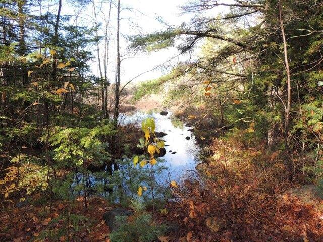 land Ossipee NH DS103249110
