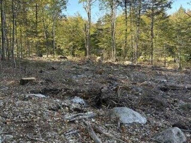 land Ossipee NH ES103620117