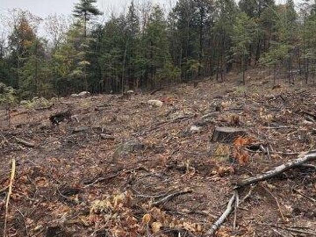 land Ossipee NH ES103850492