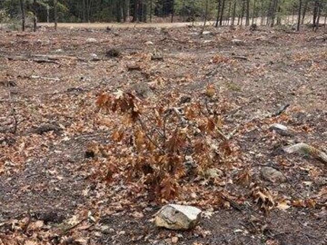 land Ossipee NH ES103968500