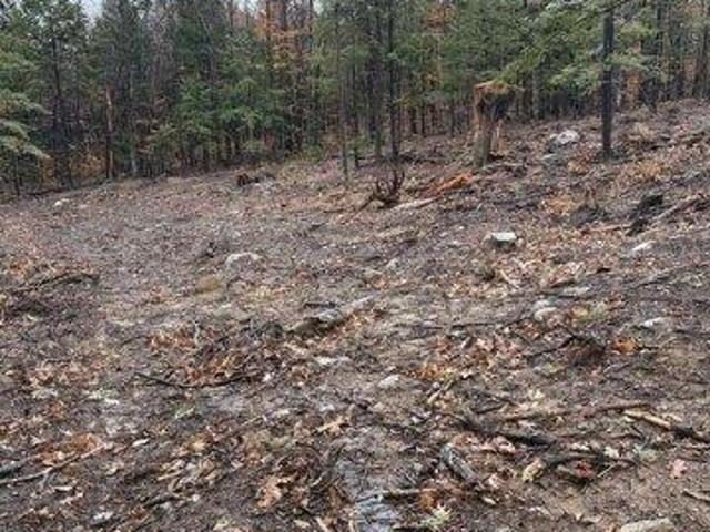 land Ossipee NH ES105171946