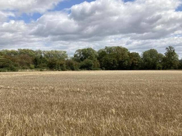 Land At Cassington Road lot, Eynsham, Farm Land For