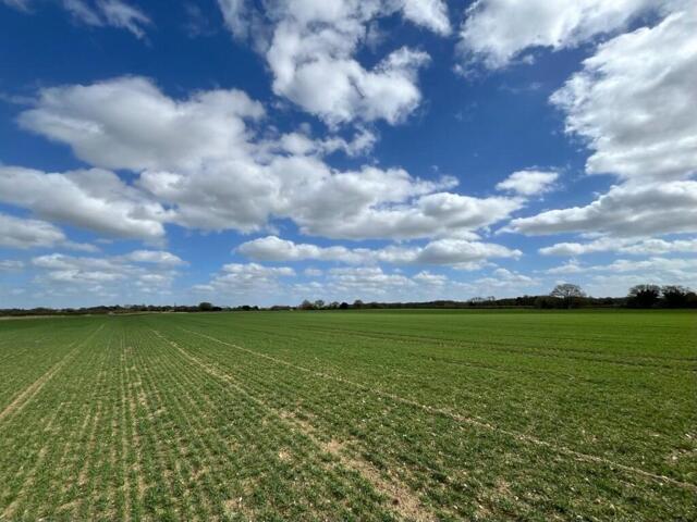 Land Attleborough Norfolk 100540669