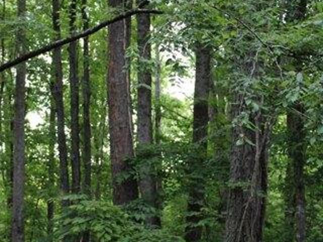 land Auburn GA ES104899832