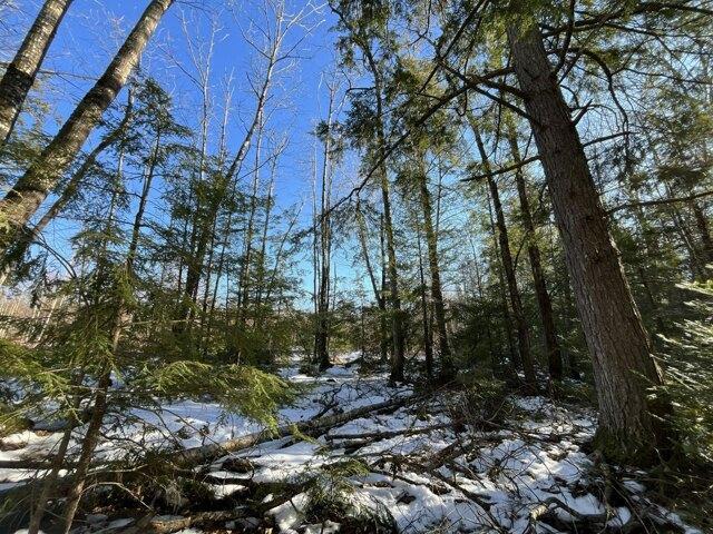land Auburn ME DLS101631611