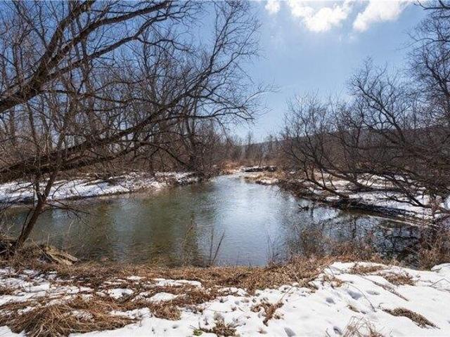 land Avoca NY DS103622980