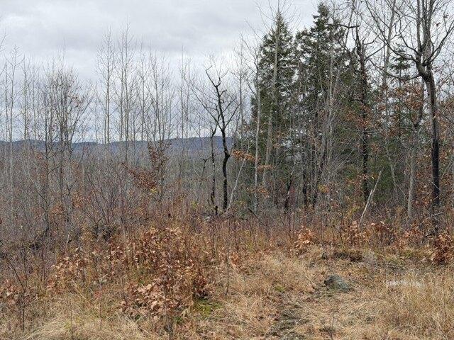 land Abbot ME DS102258985