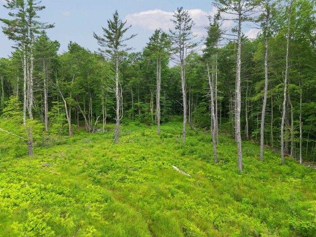 land Acworth NH DLS102443390