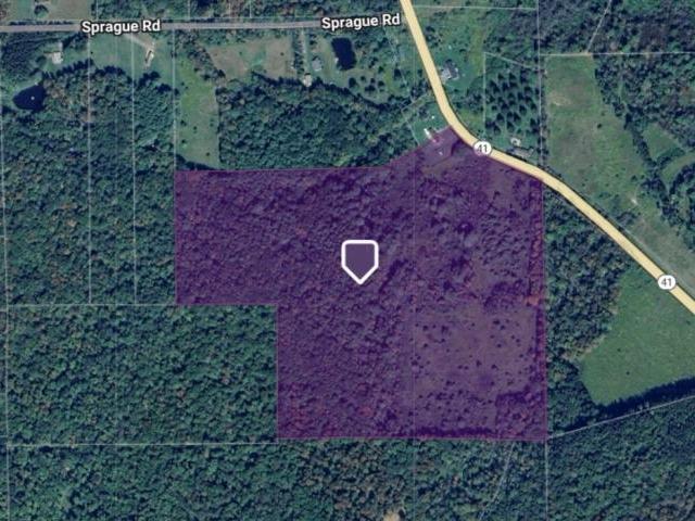 land Afton NY DS101252167
