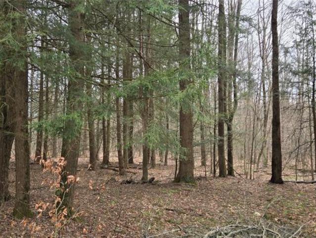 land Afton NY ES101252164