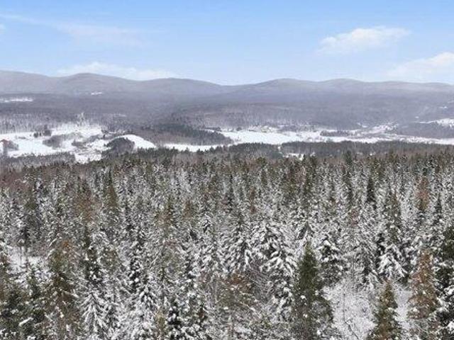 land Albany VT DLS101661291
