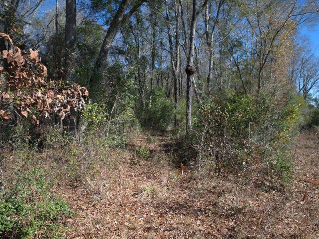 land Albany GA ES101012065