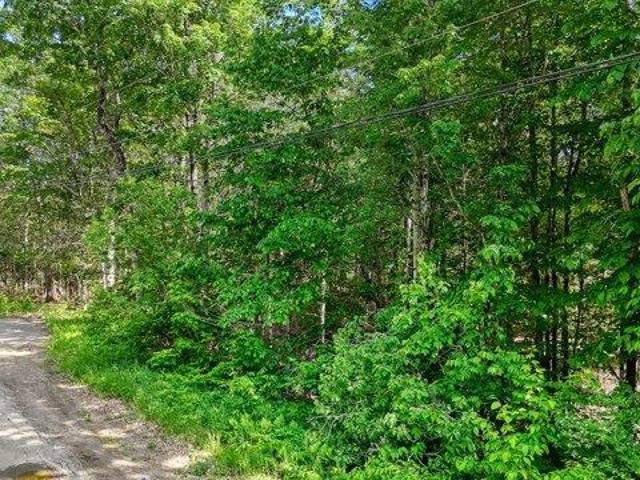 land Albion ME DS103441614