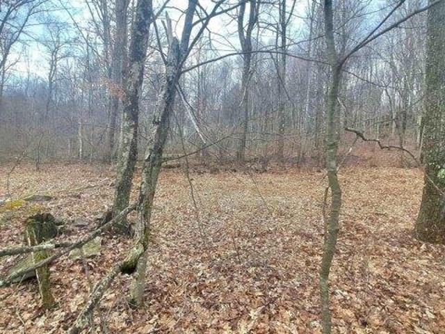 land Albright WV ES104901410