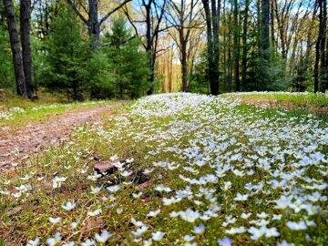 land Albrightsville PA DS103601938