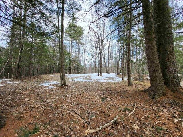 land Alexandria NH ES103126813