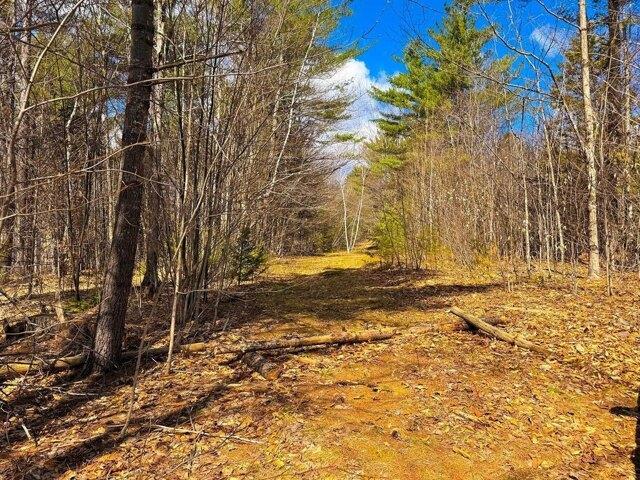 land Alexandria NH ES104810019