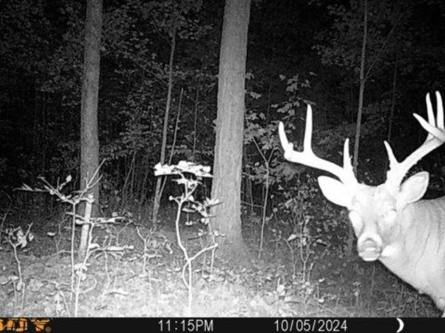 land Alpena MI DS89746857