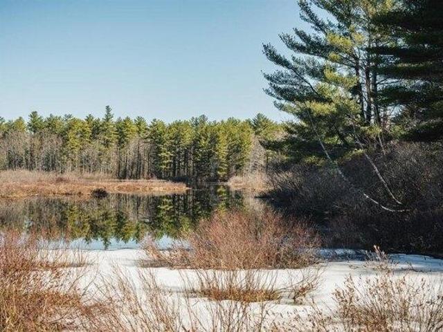 land Alton NH DS102726387
