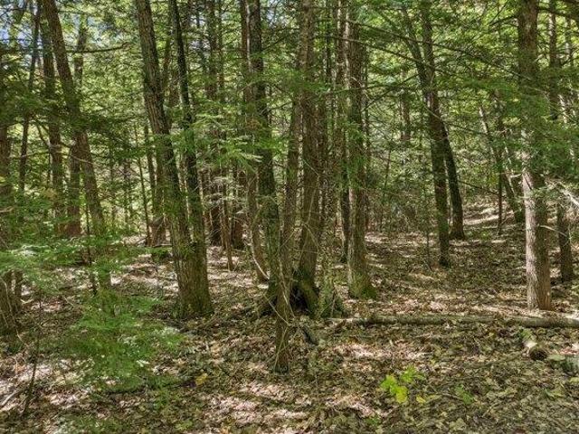 land Alton NH ES105092711