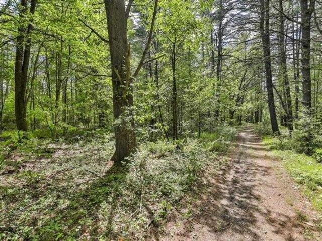 land Amherst NH DLS102669401