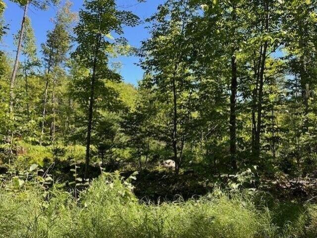 land Andover ME DS102346922