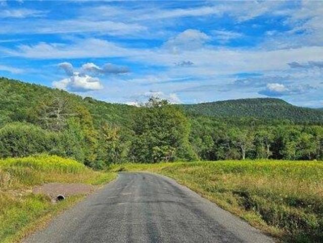 land Andes NY DS103621849