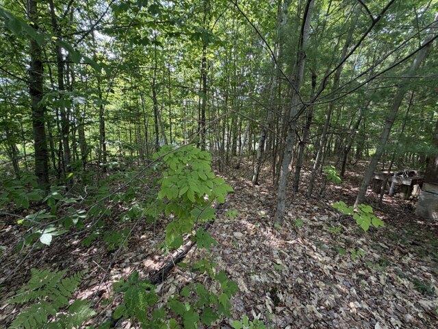 land Anson ME DS103436227