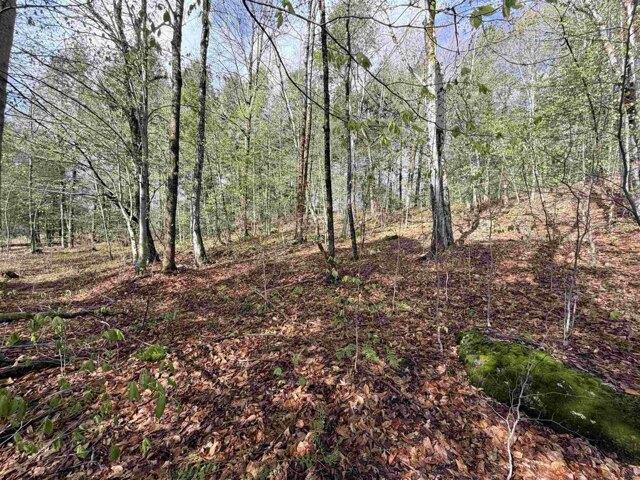 land Antrim NH DLS102410150