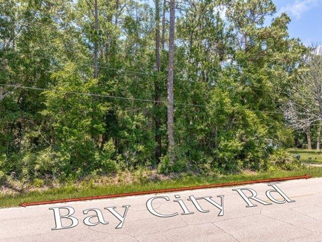 land Apalachicola FL DLS92310802
