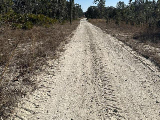 land Archer FL DS101012217