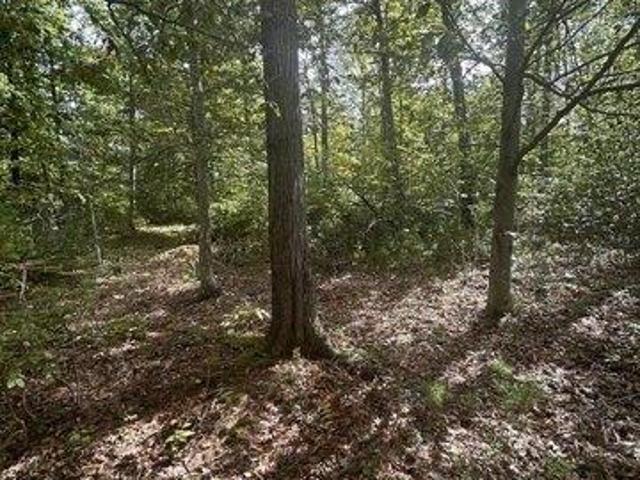 land Ashby MA DLS102670699