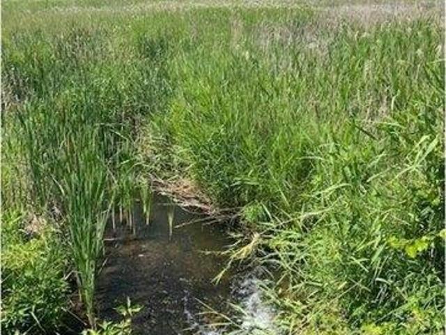 land Ashby MN ES103500965